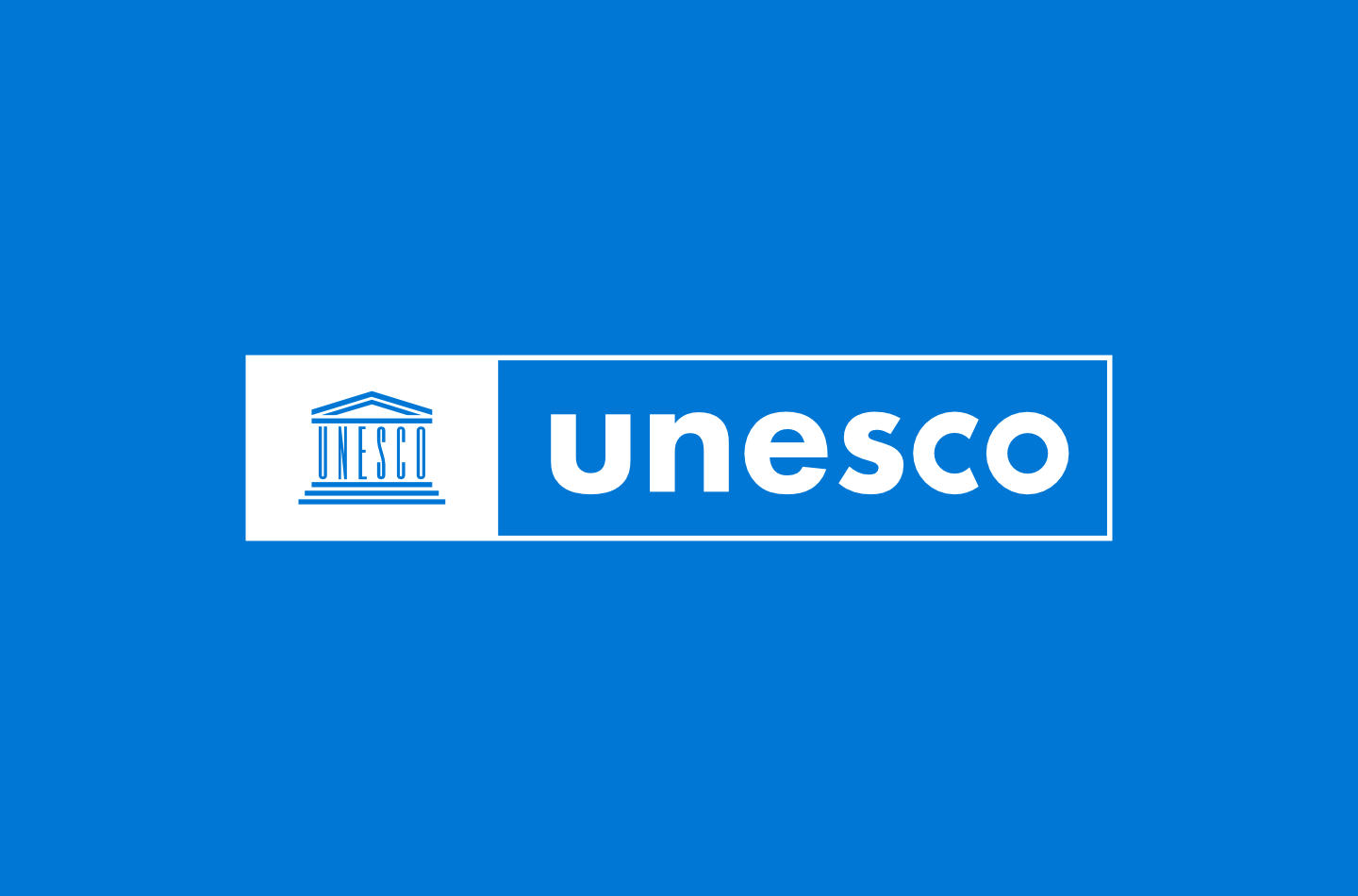 UNESCO: Call for Experts for Reflection Group on the Diversity of ...